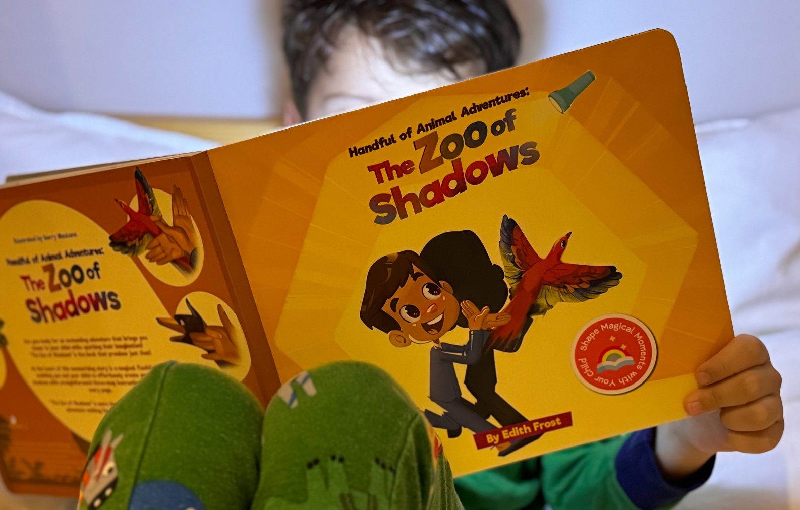 The Zoo of Shadows – A one-of-a-kind book – MagicMinds